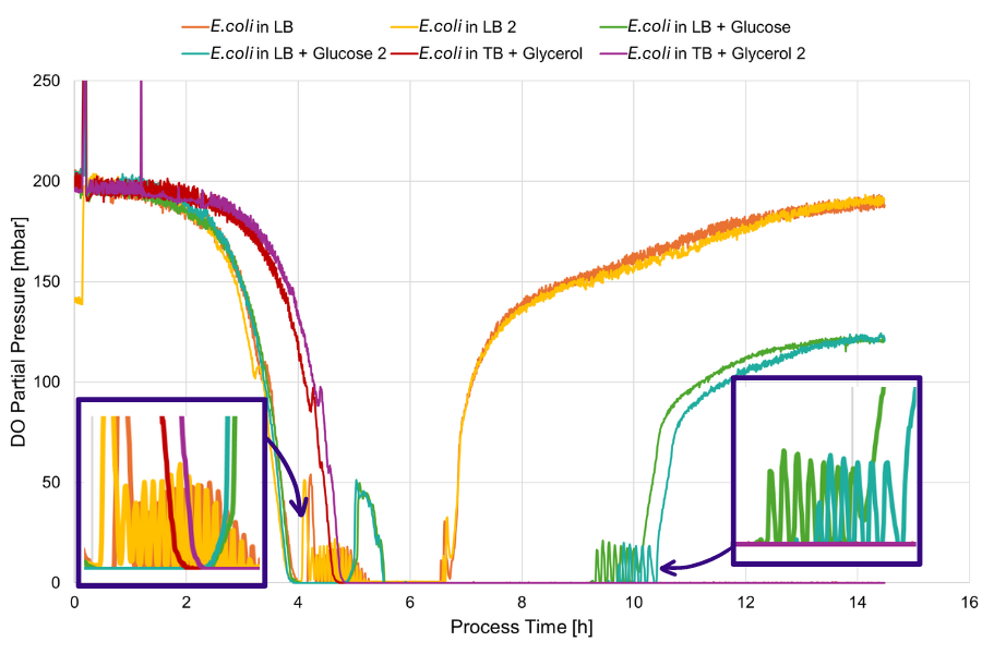 Data Spotlight - Metabolic Events in E.coli Fermentations
