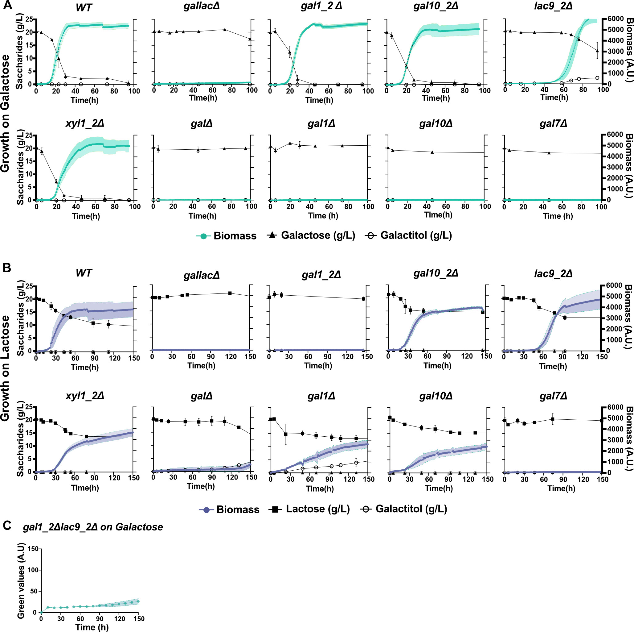 Data Spotlight - Using the Cell Growth Quantifier (CGQ) to Explore the ...