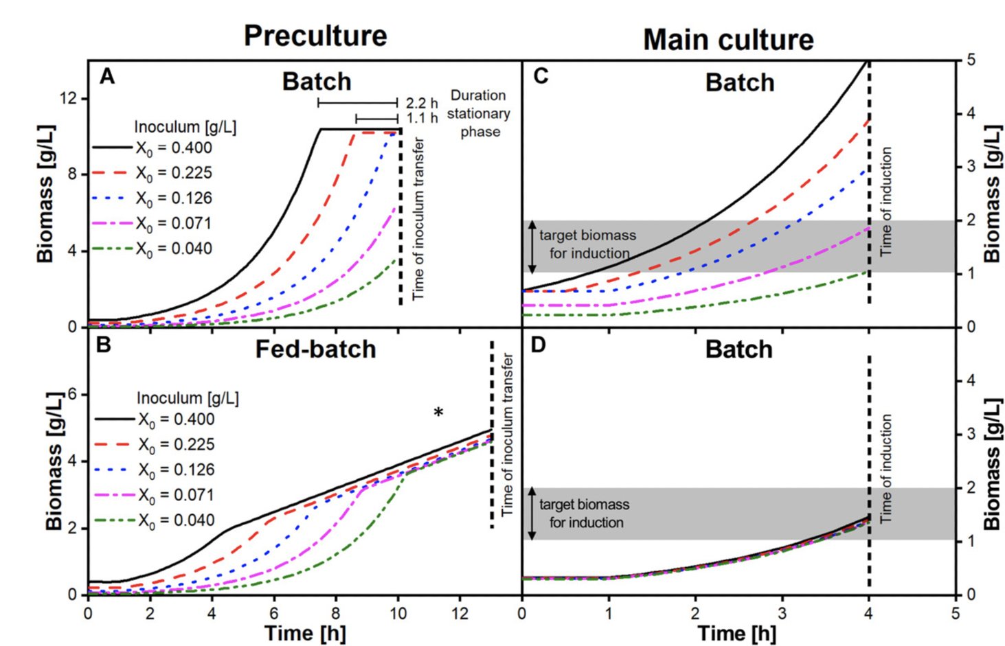 How Fed-Batch Conditions Improve The Quality Of Your Preculture