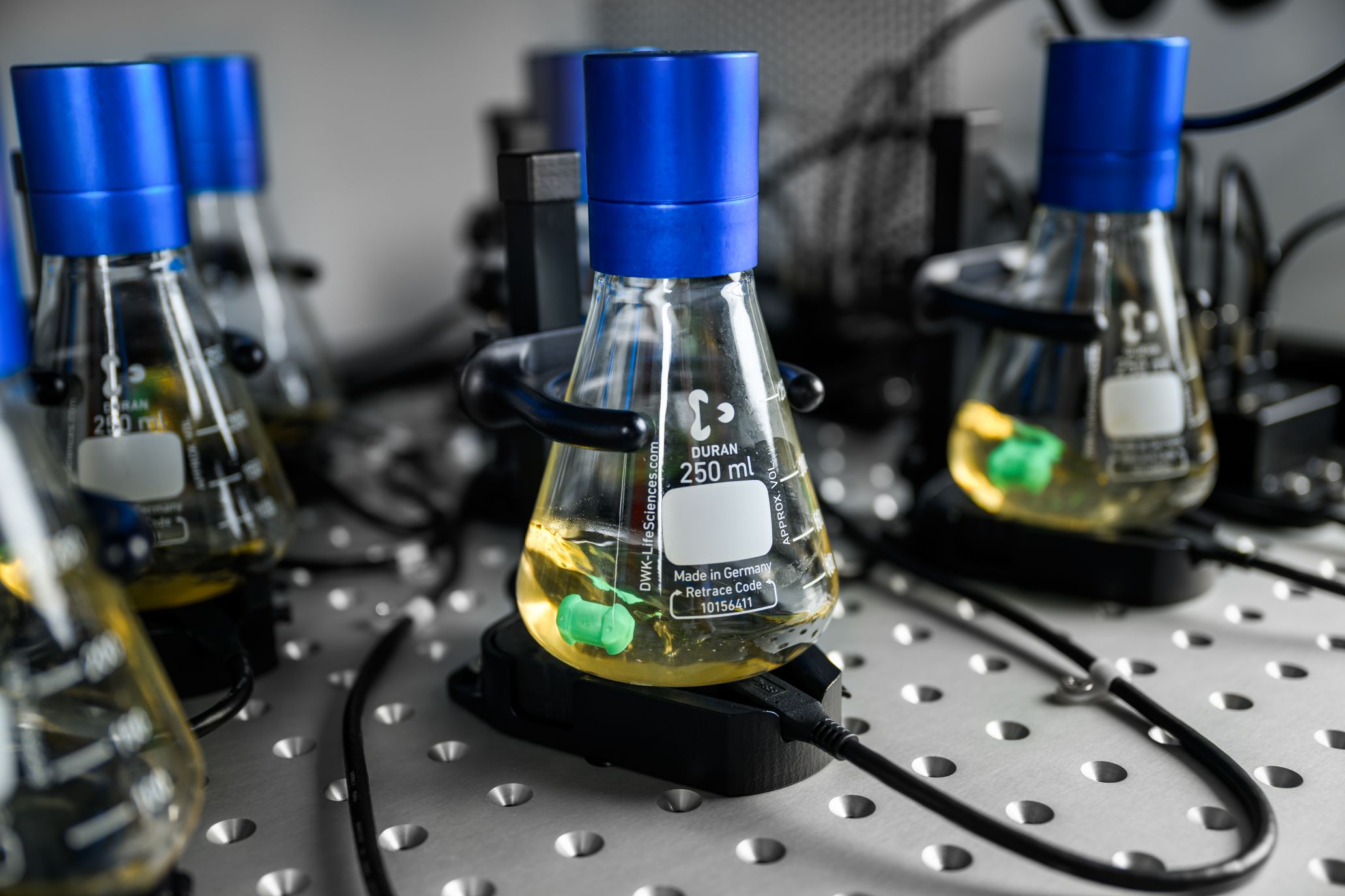 Dissolved Oxygen (DO) Monitoring in Microbial Bioprocessing - sbi