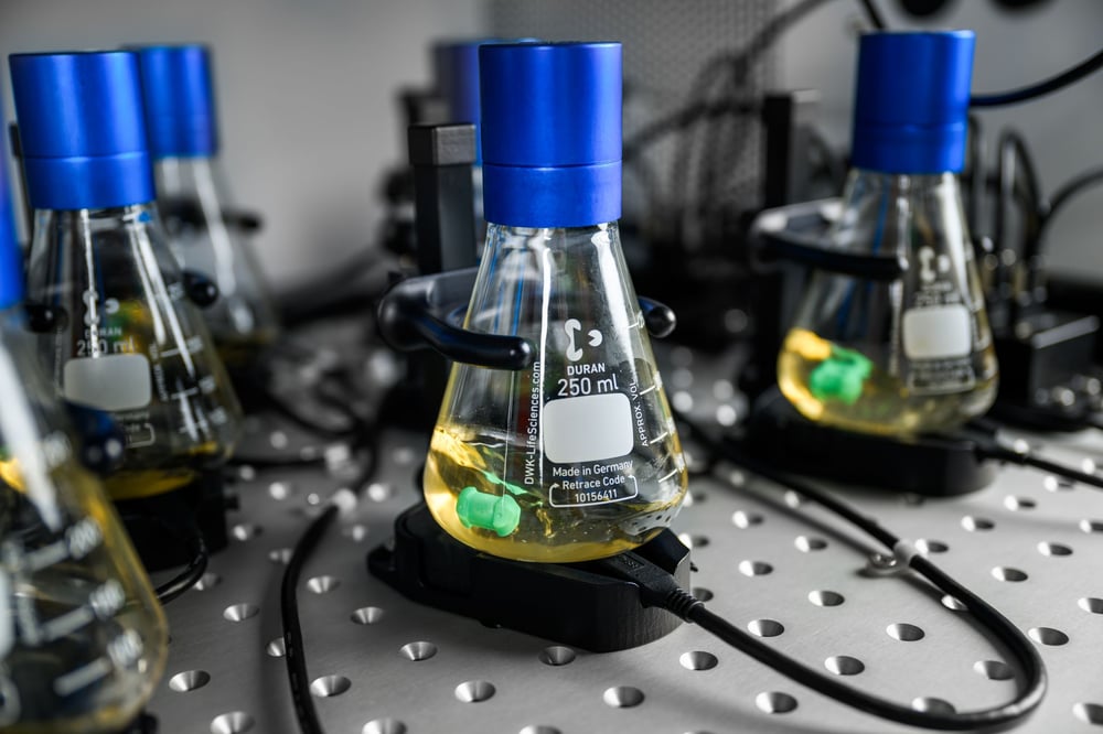 Dissolved Oxygen (DO) Monitoring in Microbial Bioprocessing - sbi