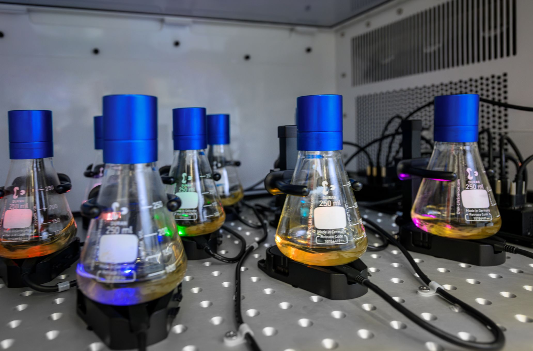 Data Spotlight - Real-Time Monitoring of Photoswitch Protein