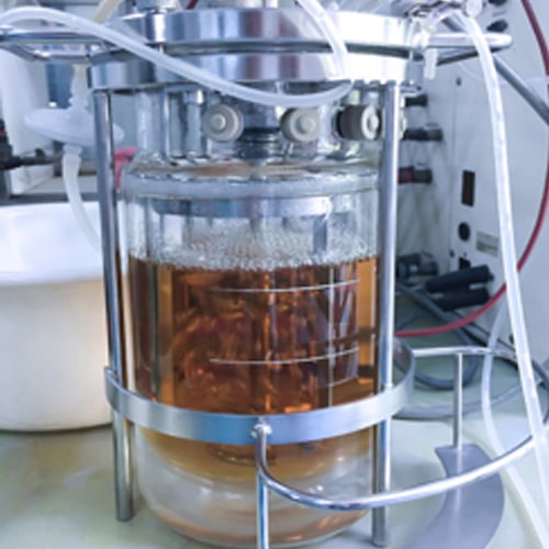 5 Things You Need to Do to Scale Up Your Experiments from Shake Flasks ...