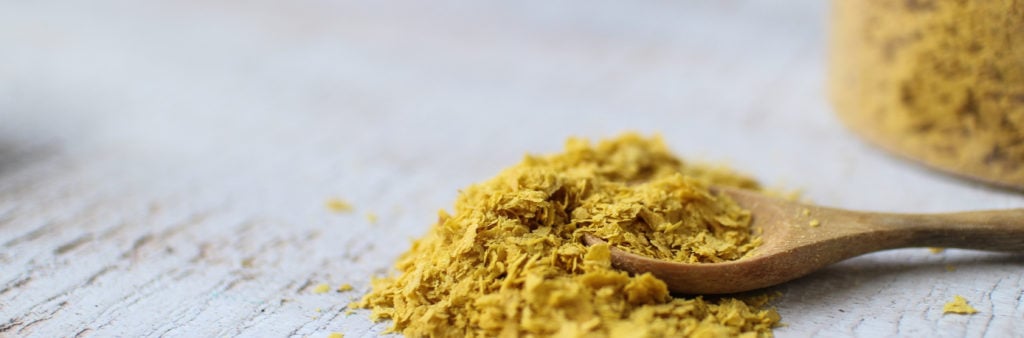 Microorganism Spotlight - Yeast - Scientific Bioprocessing