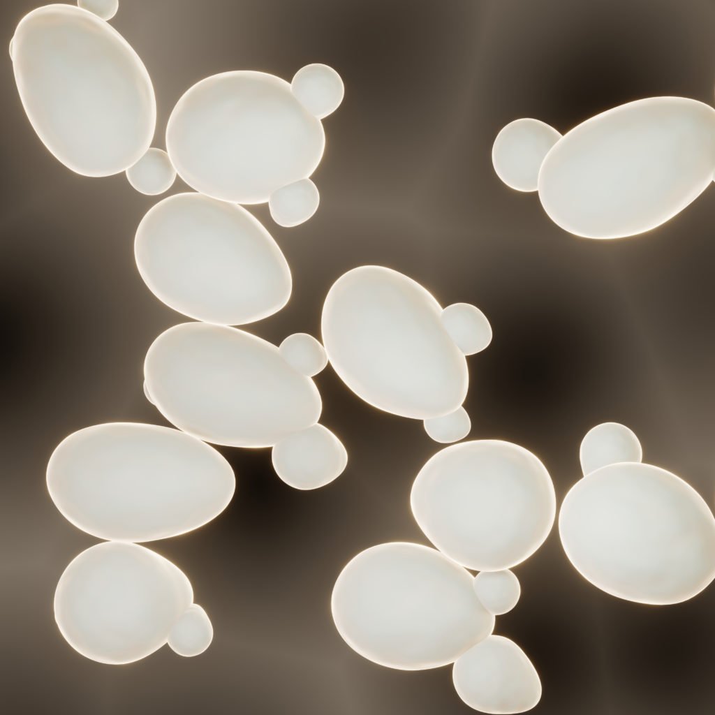 Microorganism Spotlight - Yeast - Scientific Bioprocessing