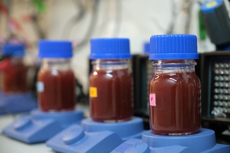 Microorganism Spotlight - Anaerobic Organisms