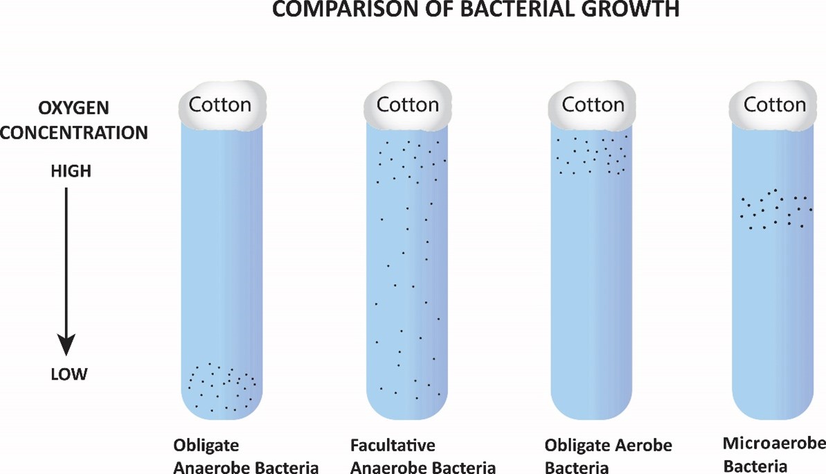 Microorganism Spotlight - Anaerobic Organisms