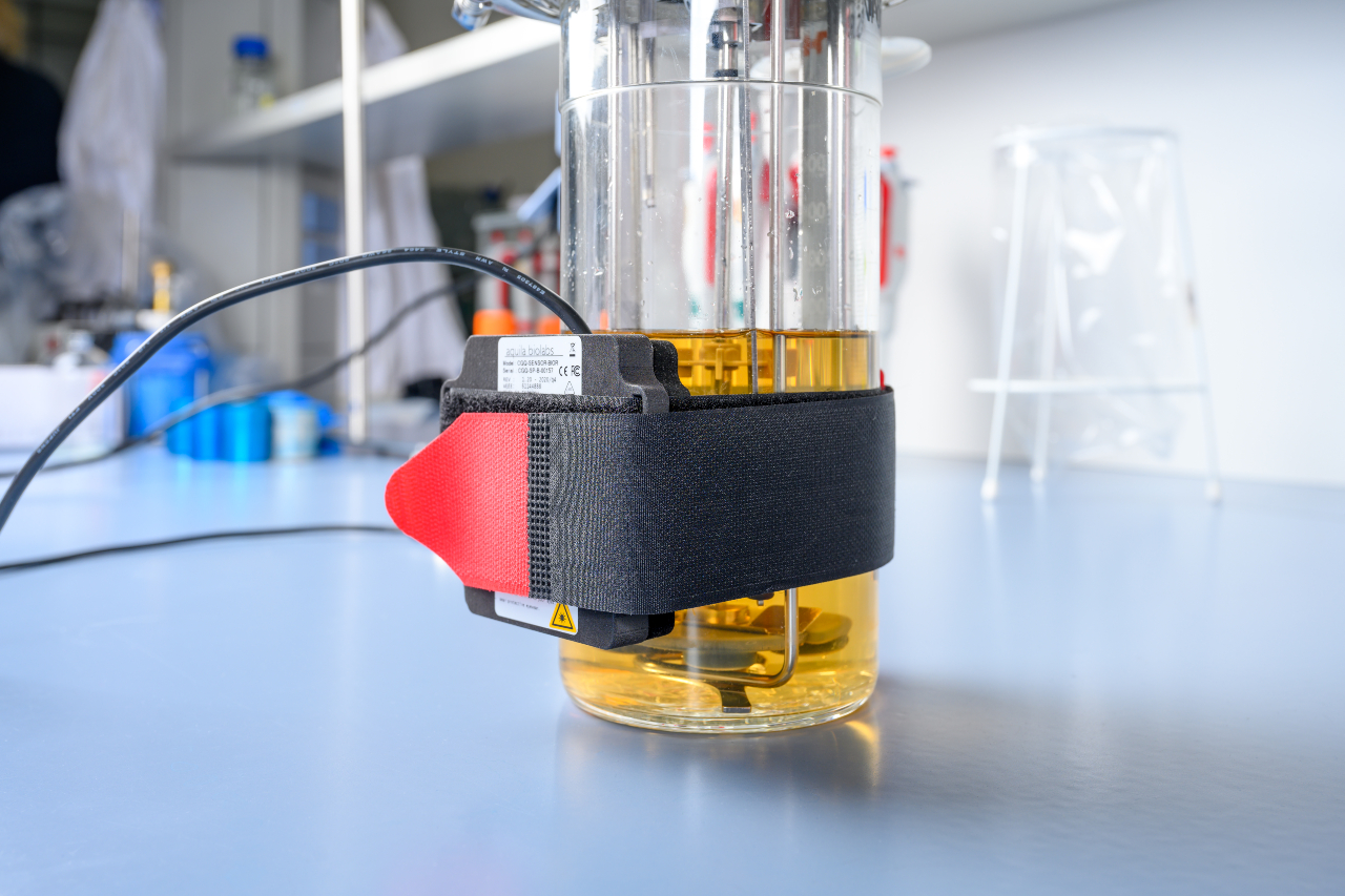 Biomass Monitoring in Microbial Fermentation - Scientific Bioprocessing