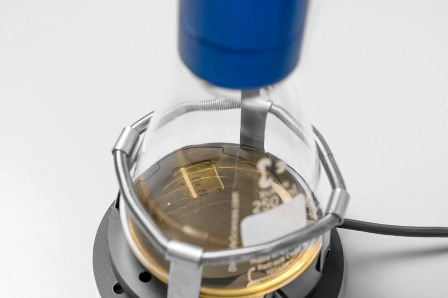 Biomass-based Feeding in Shake Flasks - Scientific Bioprocessing