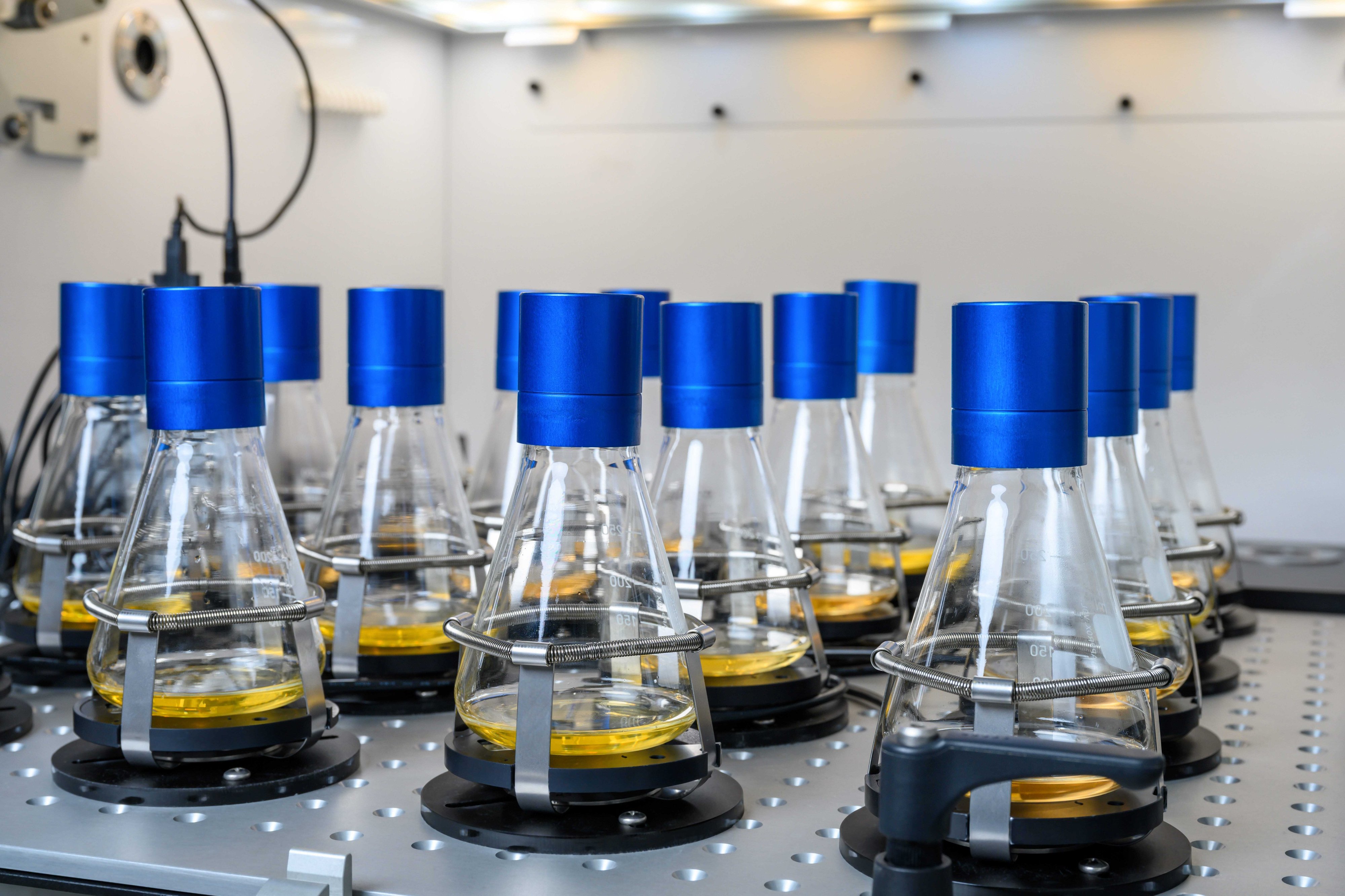 Data Spotlight-High-resolution Growth Curves Show Toxicity of M-cresol