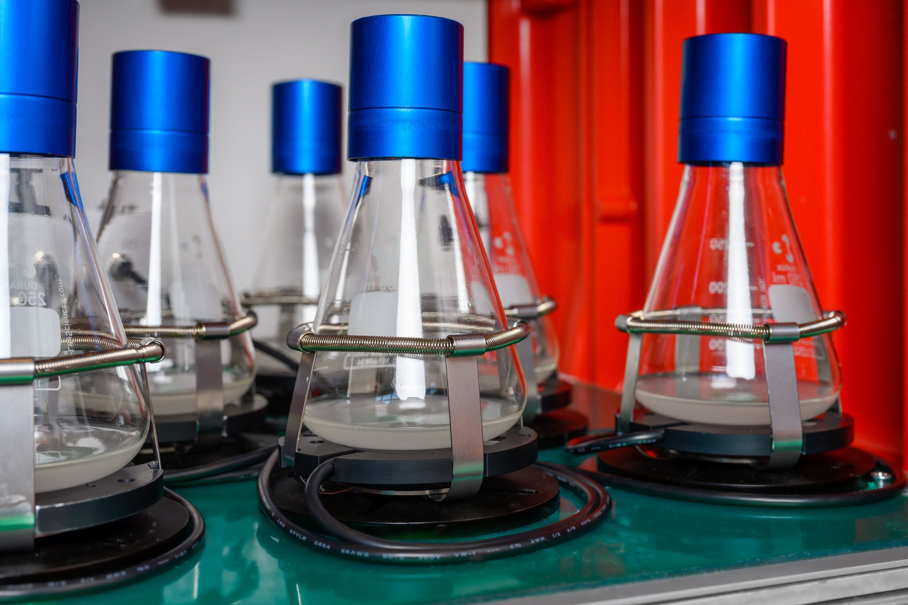 Microbial Screening in Shake Flasks - Scientific Bioprocessing