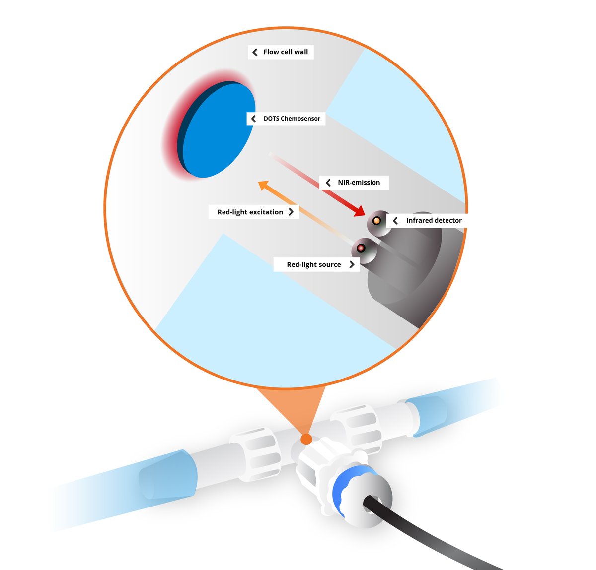 Measuring pH In Cell Culture Using Fiber Optic Sensors
