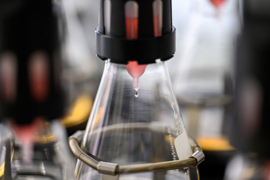 Biomass-based Feeding in Shake Flasks - Scientific Bioprocessing