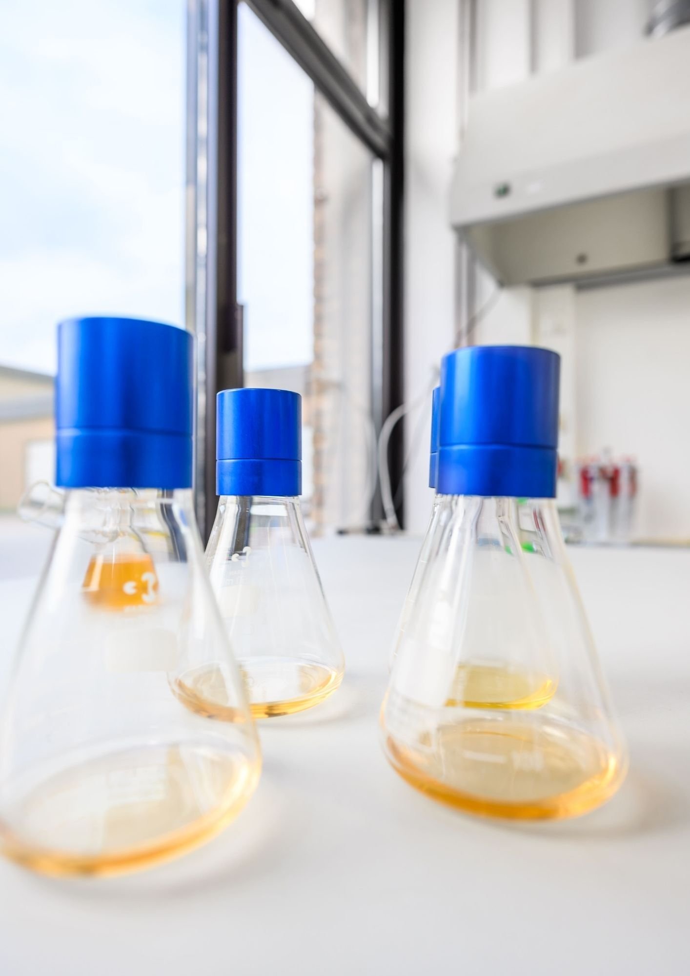 Baffled Shake Flasks in Microbial Cultures - Scientific Bioprocessing