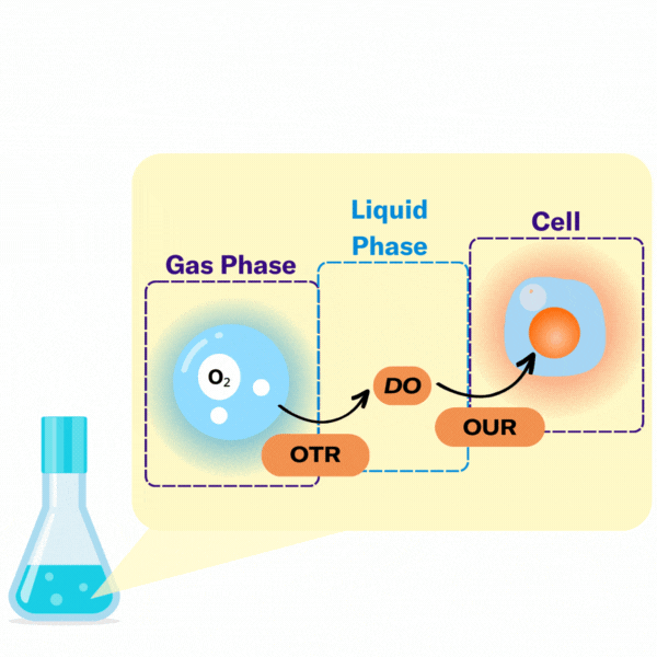 Dissolved Oxygen (DO) Monitoring in Microbial Bioprocessing - sbi