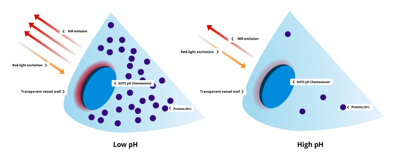 Measuring pH In Cell Culture Using Fiber Optic Sensors