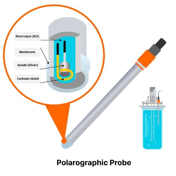 Dissolved Oxygen (DO) Monitoring in Microbial Bioprocessing - sbi