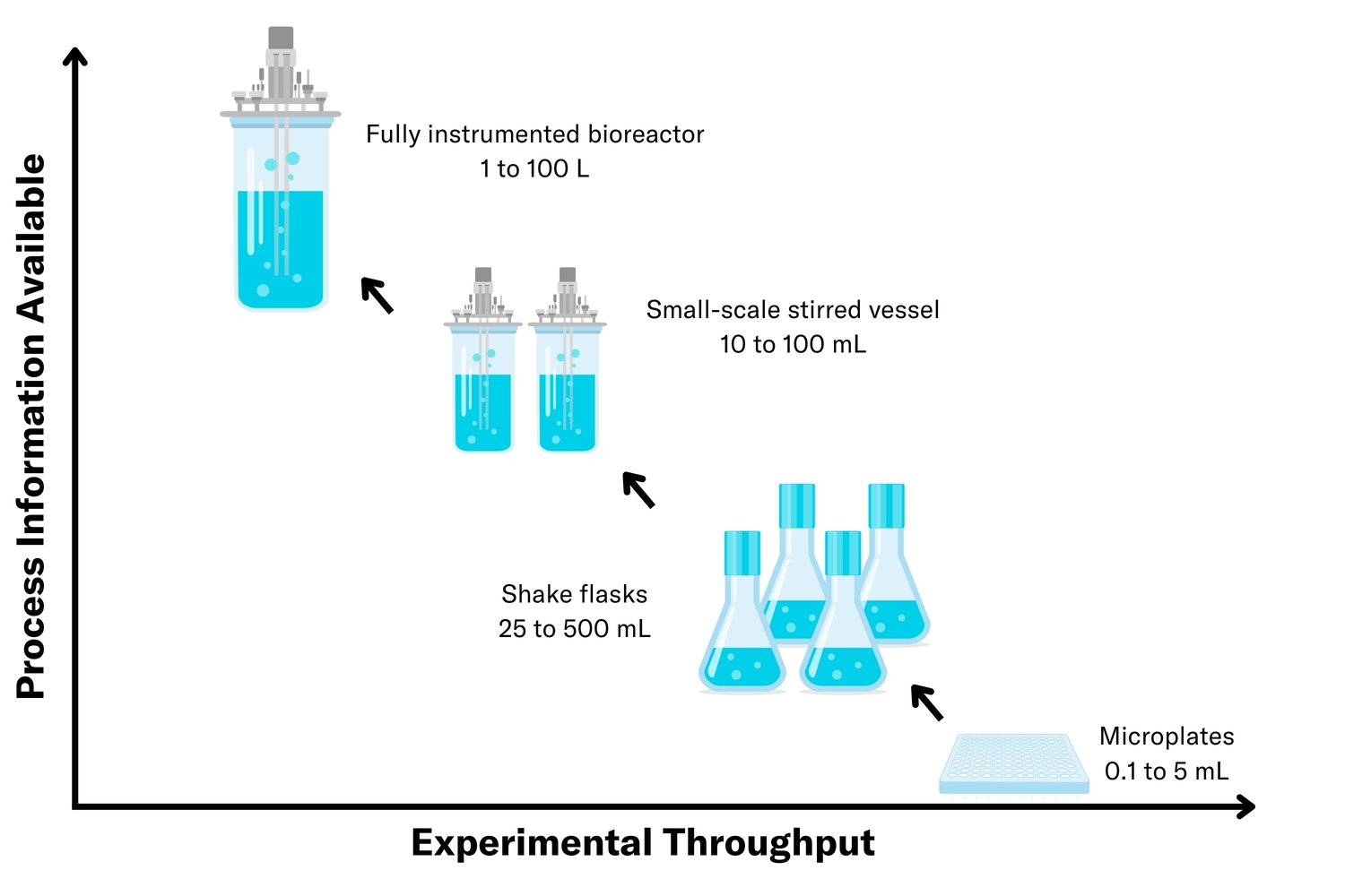 Scaling Up in Bioprocessing - Bridging the Gap from Lab Bench to ...