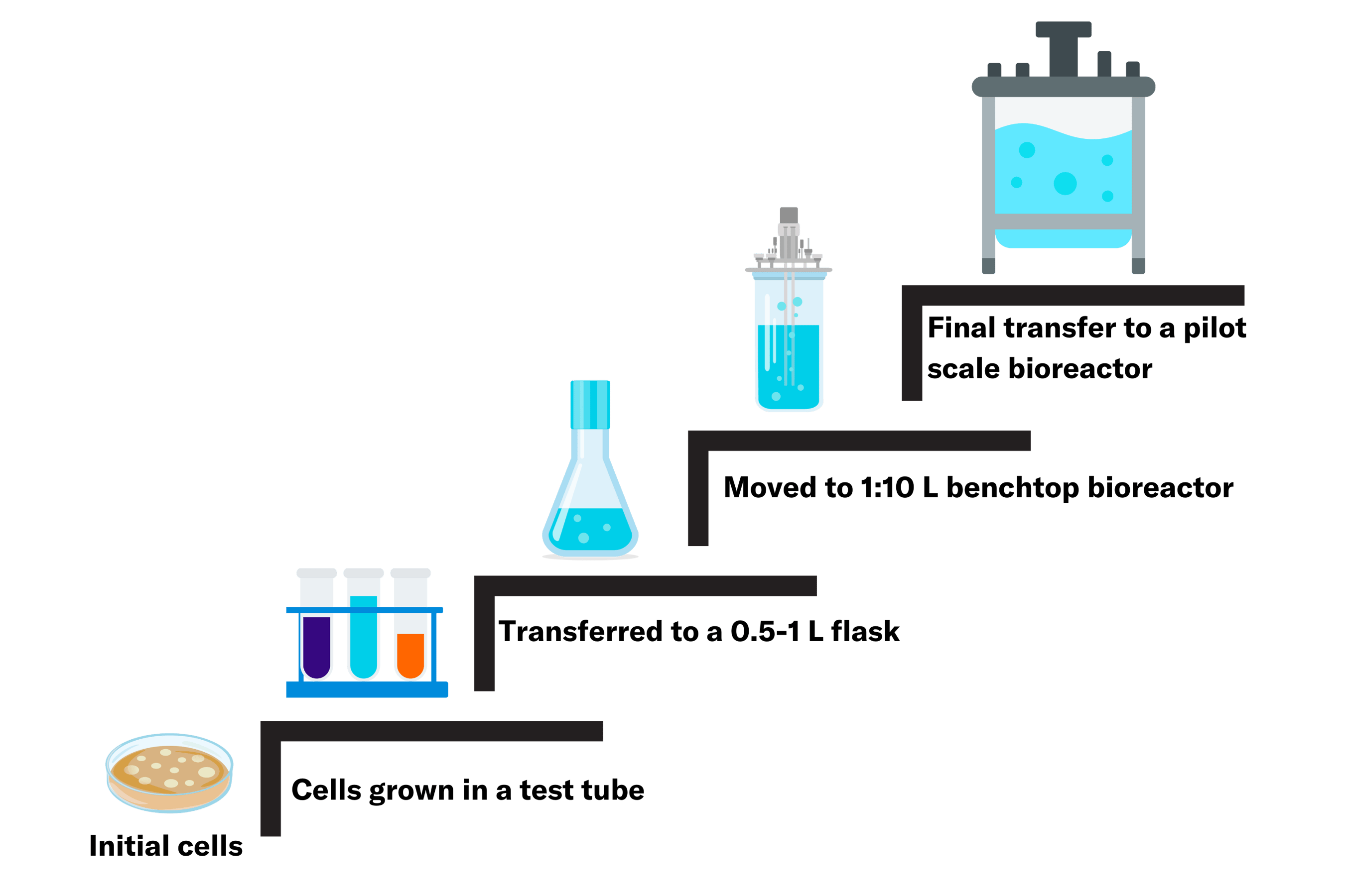 The Seed Train in Bioprocessing Design, A Journey from Micro to Macro