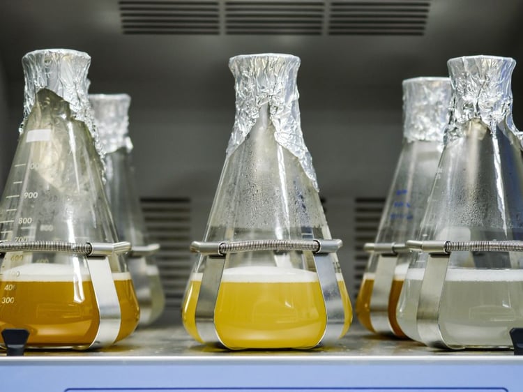 Foam Formation And Control In Shake Flask Bioprocessing 1064