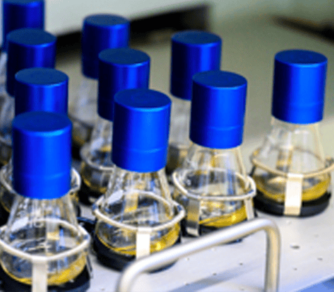How Fed-Batch Conditions Improve The Quality Of Your Preculture