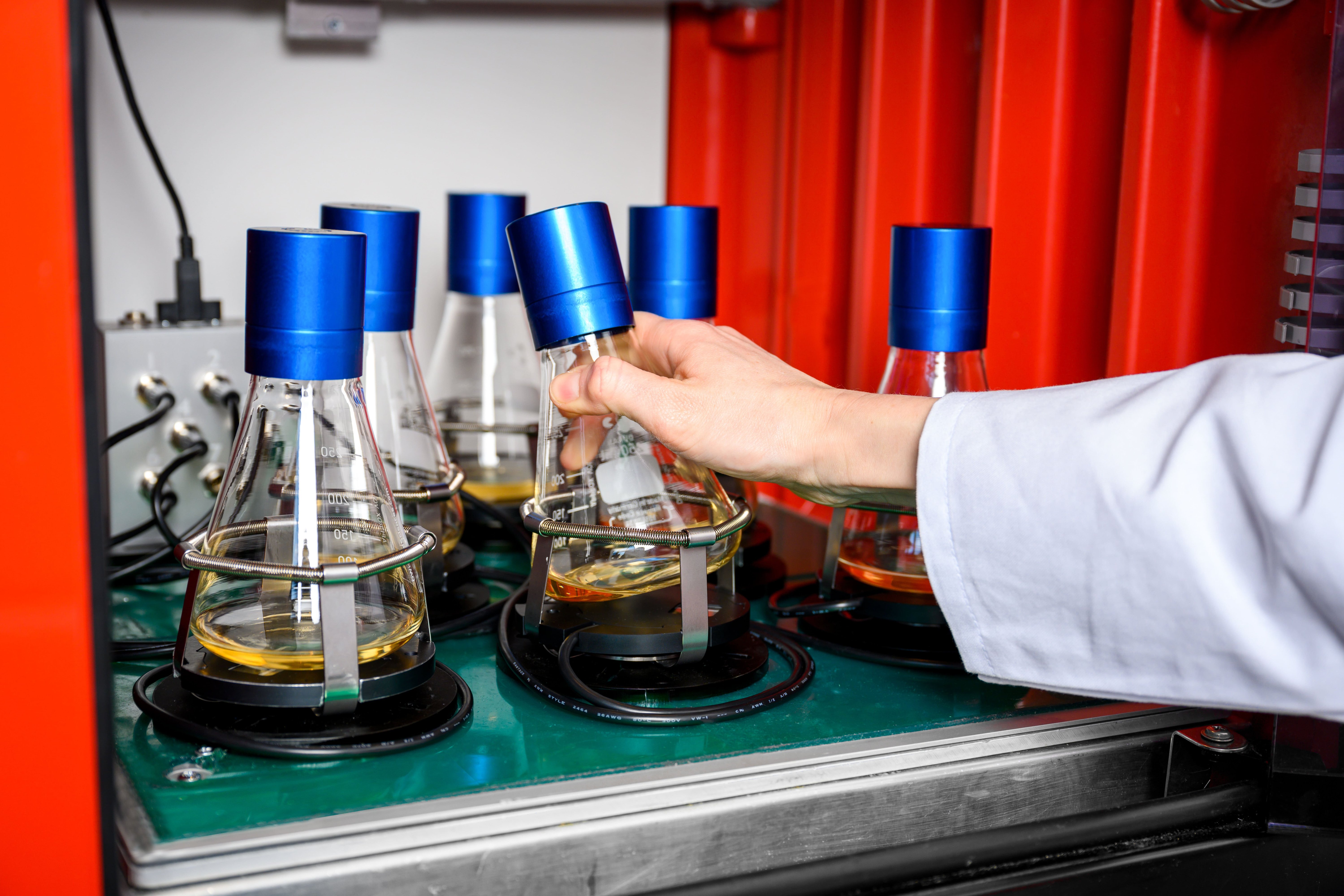 Data Spotlight - Optimizing Sampling Strategies