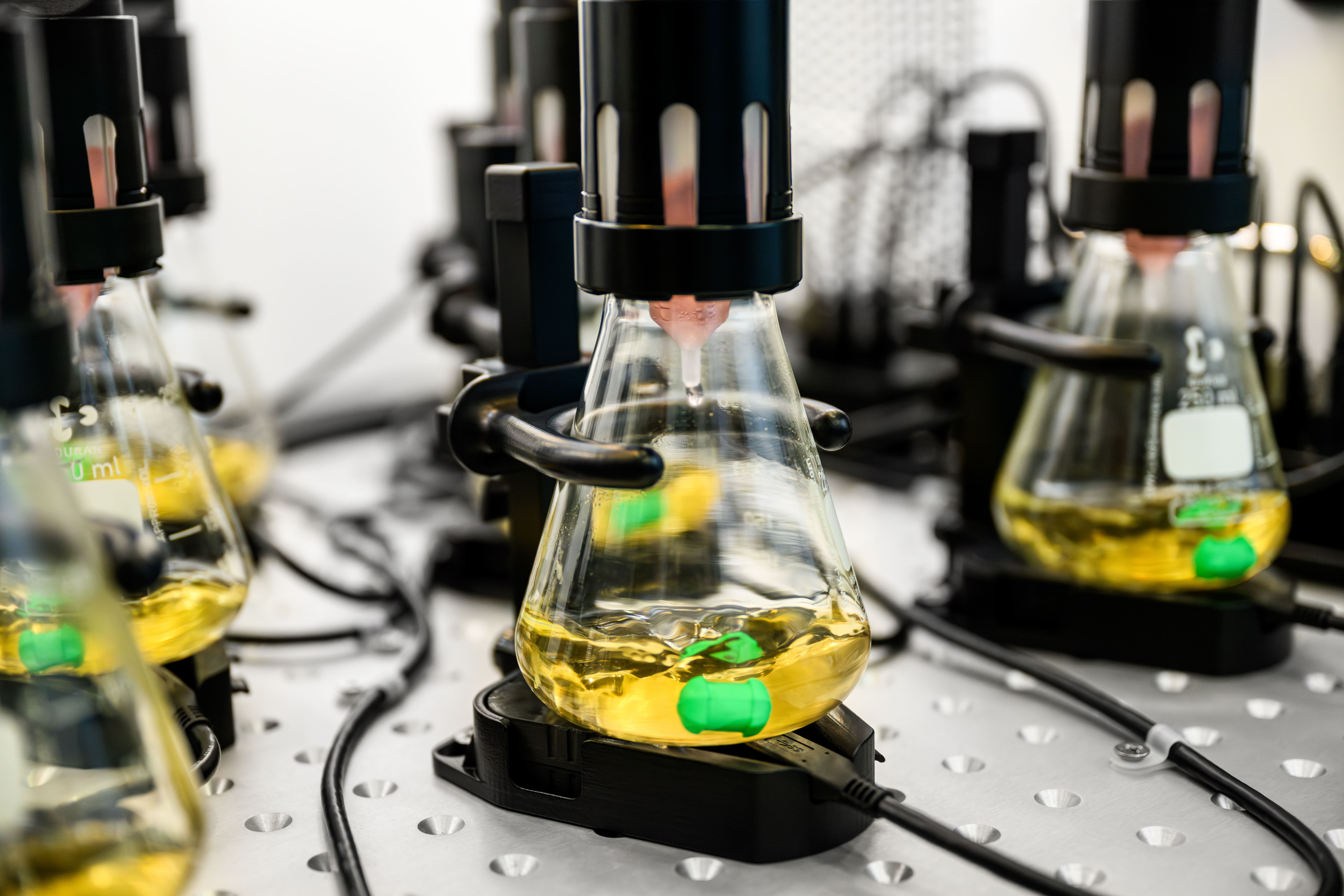 Dissolved Oxygen (DO) Monitoring in Microbial Bioprocessing - sbi