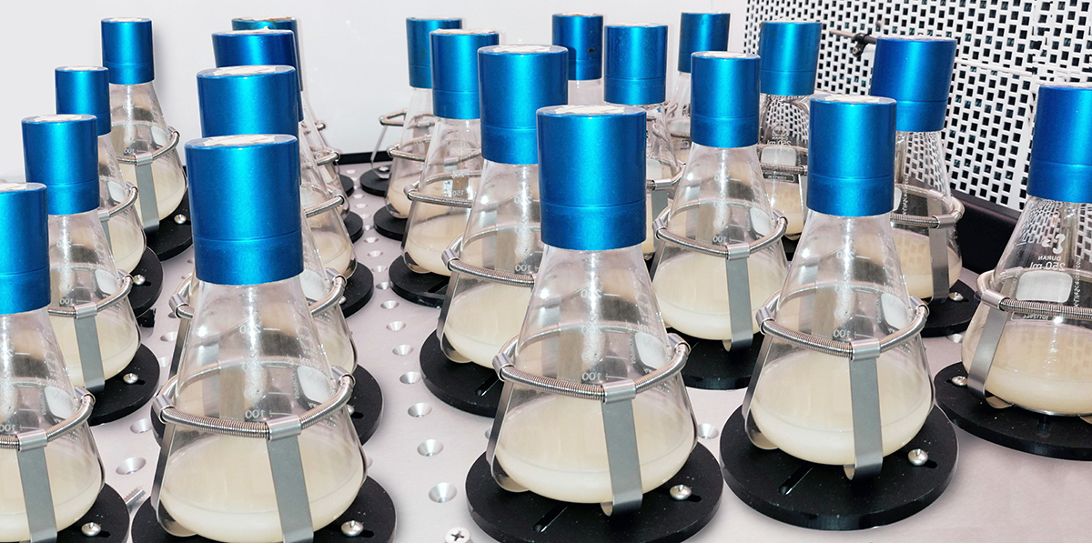 Optimize Your Microbial Fermentation Process With High Resolution