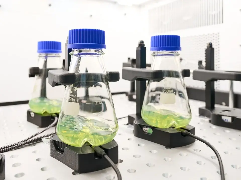 Baffled Shake Flasks in Microbial Cultures - Scientific Bioprocessing